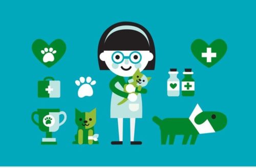 Working with Animals: Your Career in the Animal Care Industry ...
